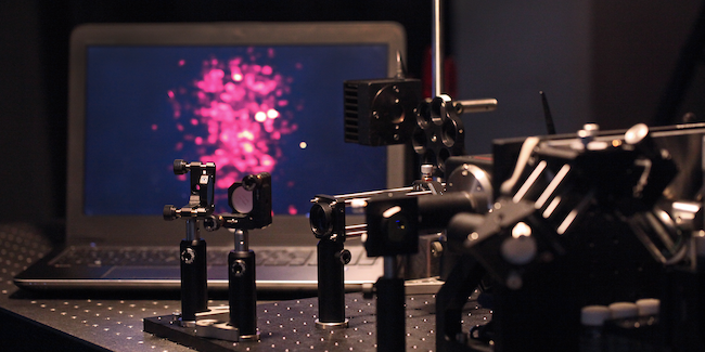 Biophotonic Imaging - DTU Health Tech