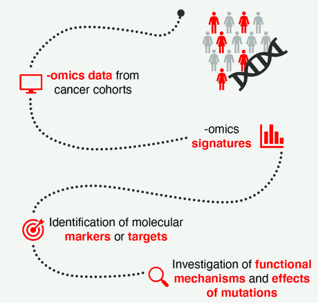 Cancer Systems Biology - DTU Health Tech