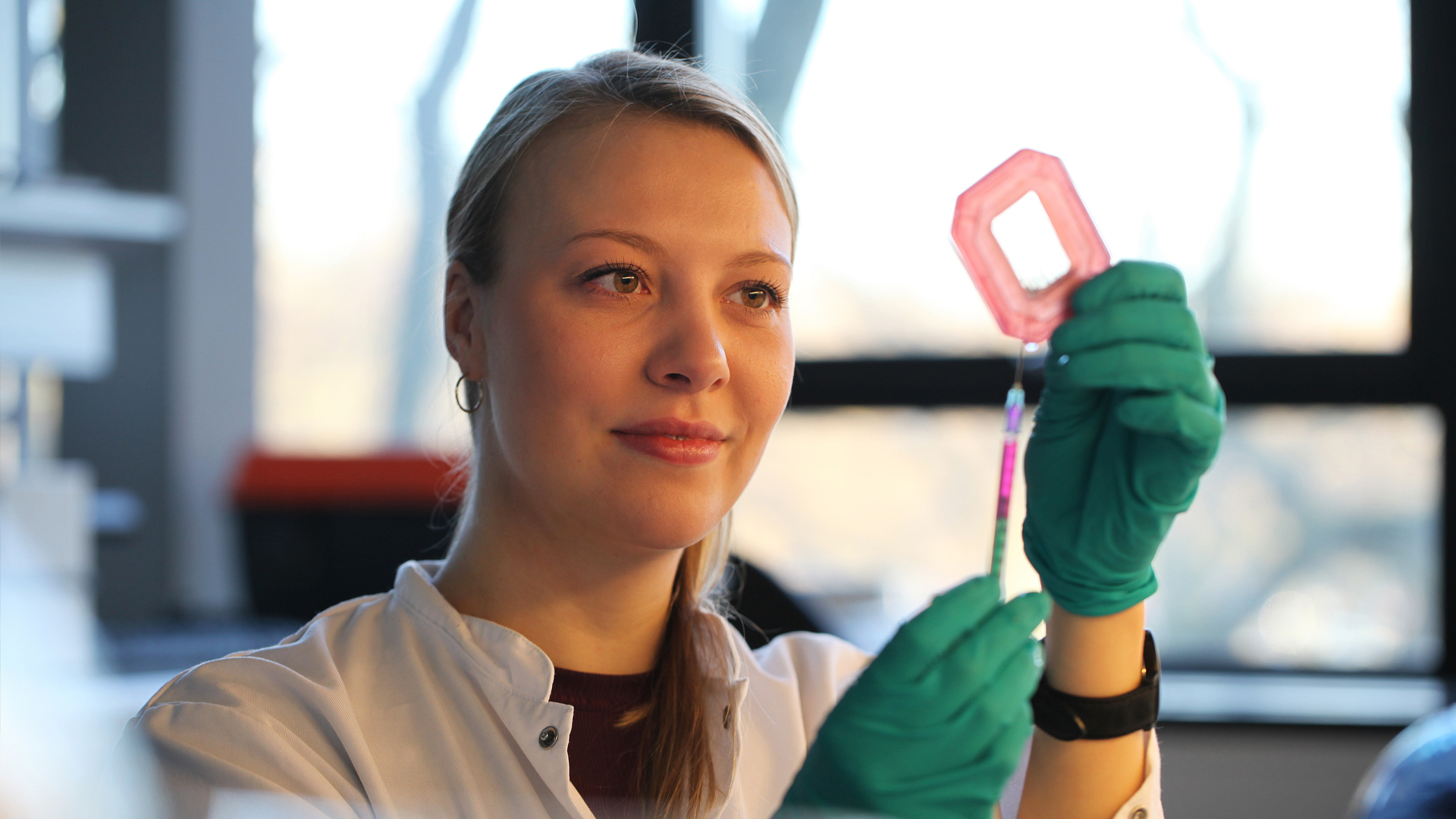 What is Immunotherapy?