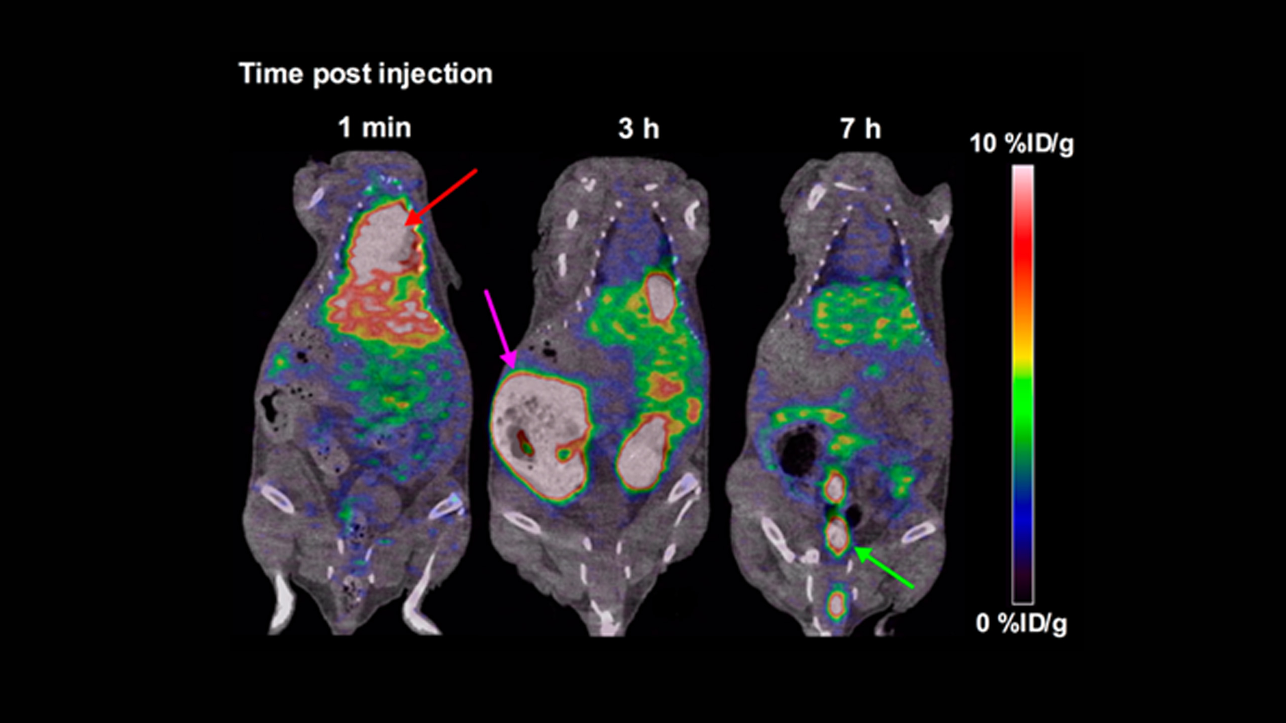 Diagnostic Imaging