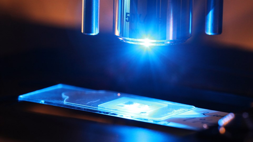 What is Optical Biomaging?