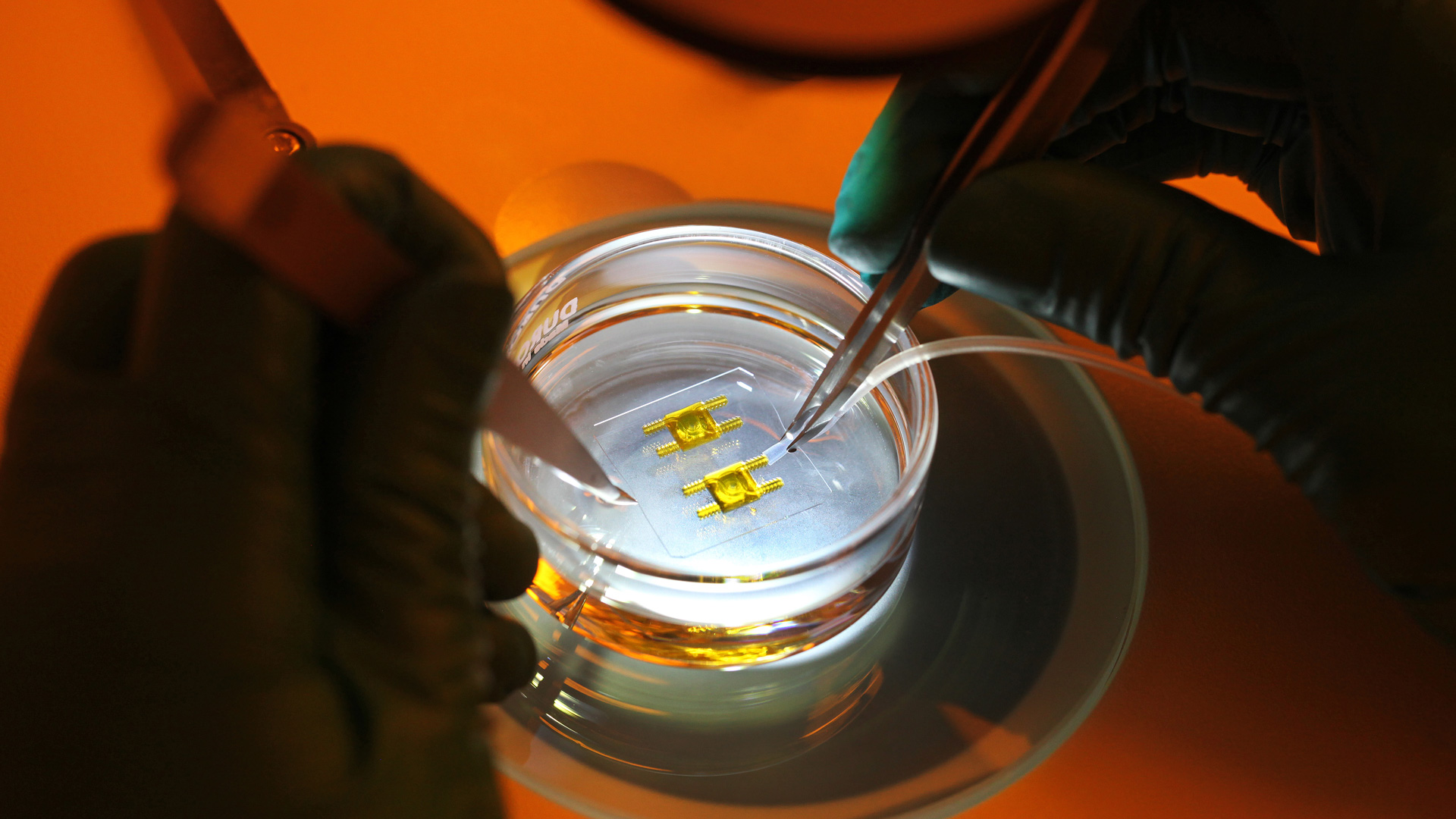 What is Tissue Engineering?