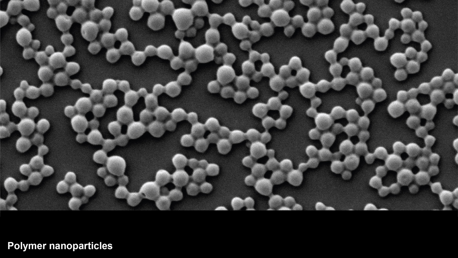 Colloids and Biological Interfaces