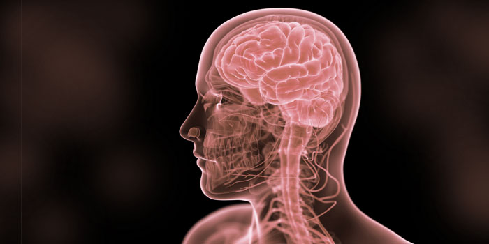 Electron cascades battle brain cancer - DTU Health Tech